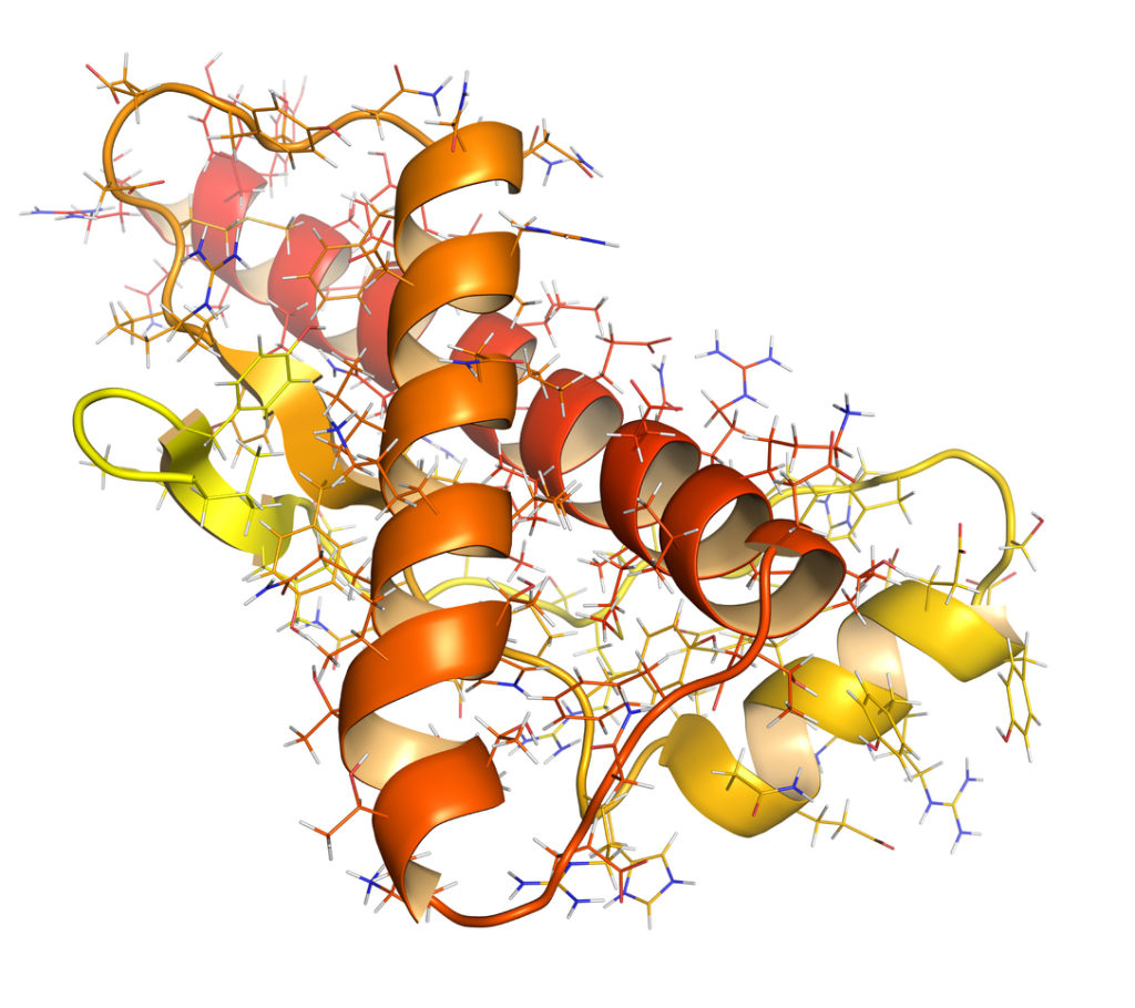 PGT for Genetic Prion Disease | Sharing Healthy Genes PGT for Genetic Prion Disease | Sharing Healthy Genes
